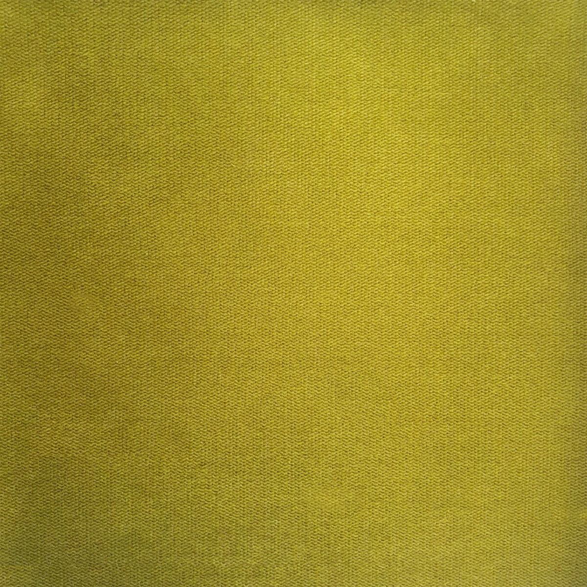 Plush Olive - Swatch Sample | Sophie Marie Home